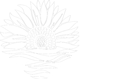 EPA Cancels Climate Justice Alliance Grant - Climate Justice Alliance